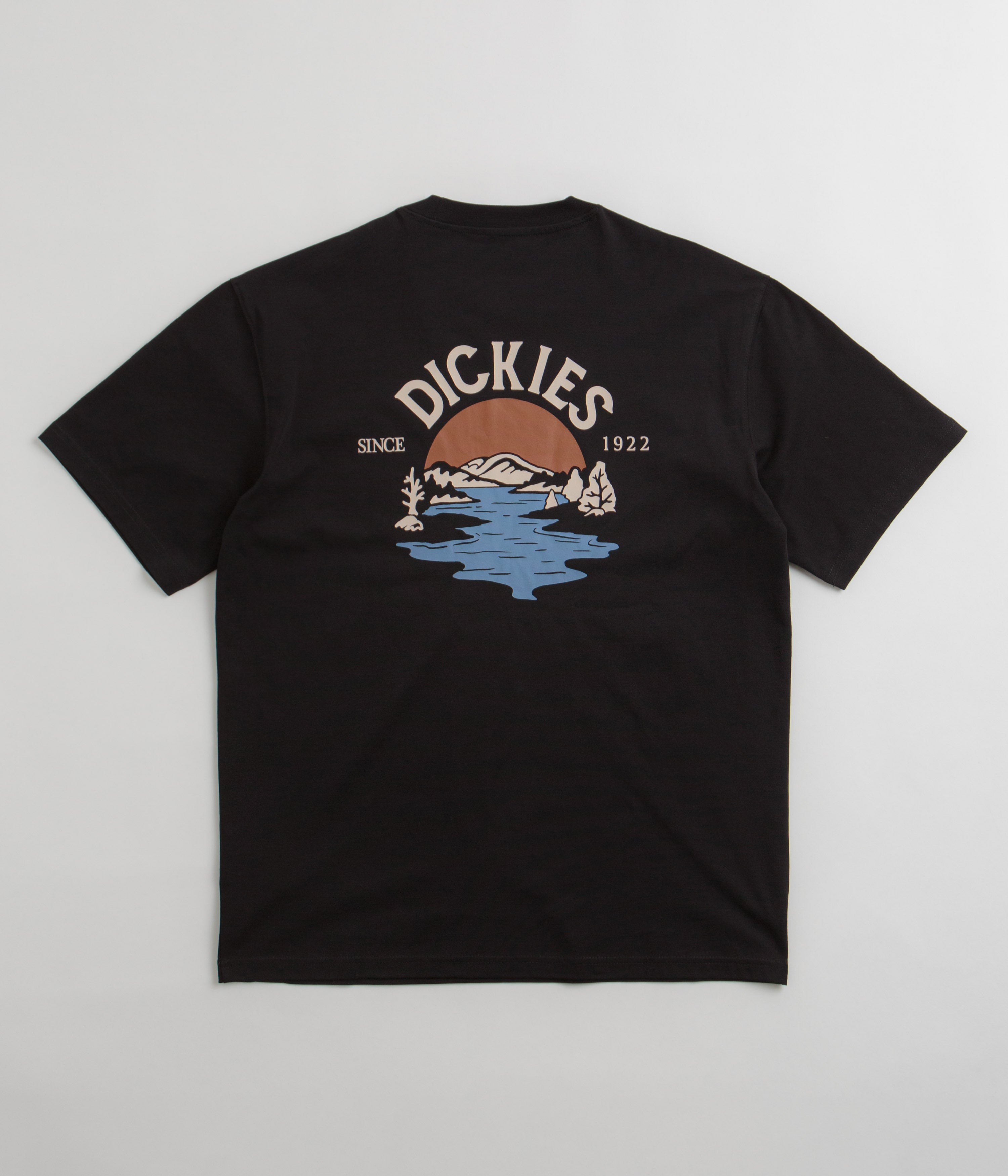 Dickies Beach T-Shirt - Black | Flatspot