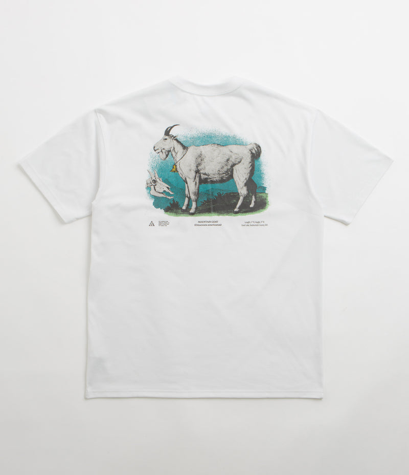 Nike ACG Goat T-Shirt - Summit White | Flatspot