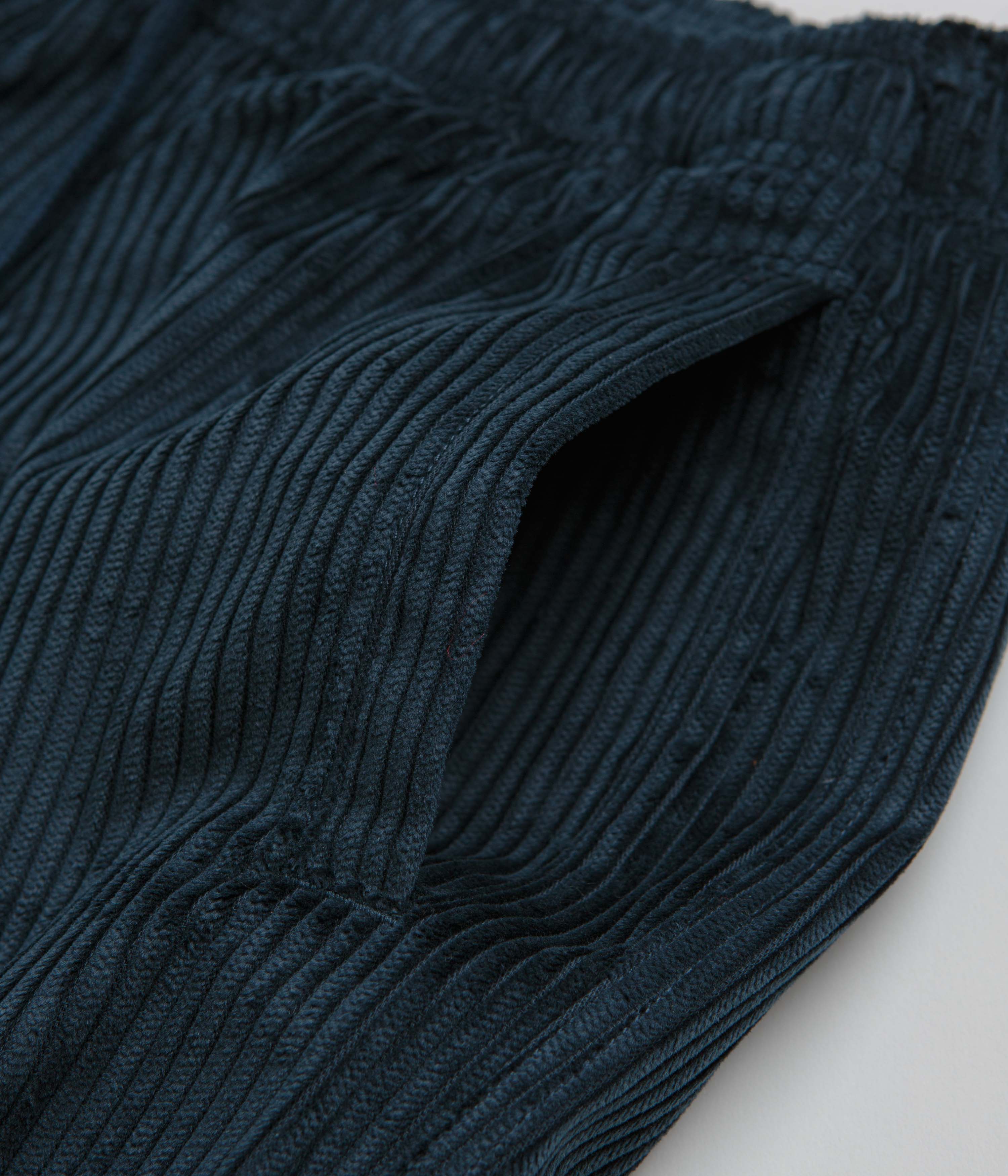 Nike SB Cord Pants - Armory Navy / Team Red | Flatspot