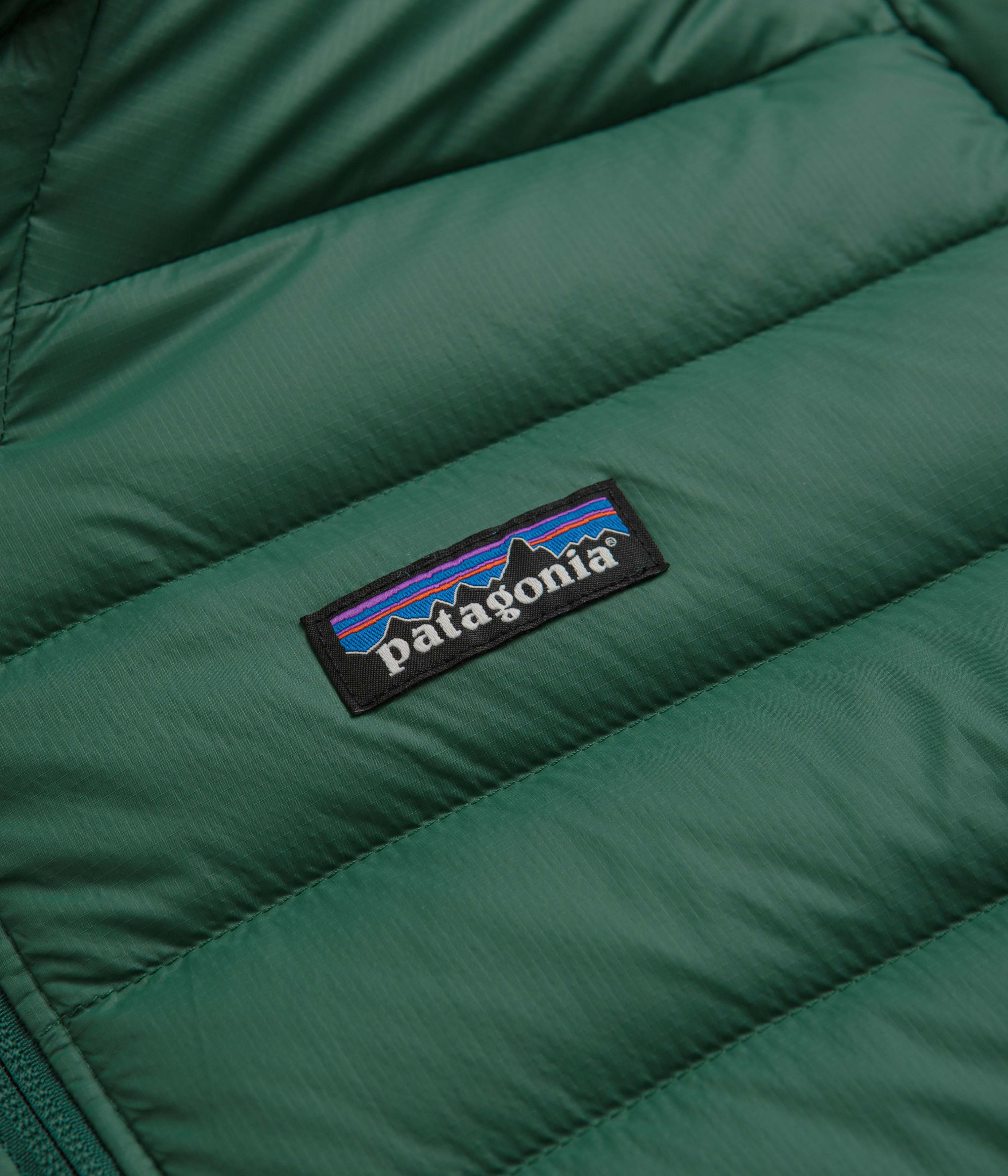 Patagonia Down Sweater Hooded Jacket (NetPlus®) - Conifer Green | Flatspot