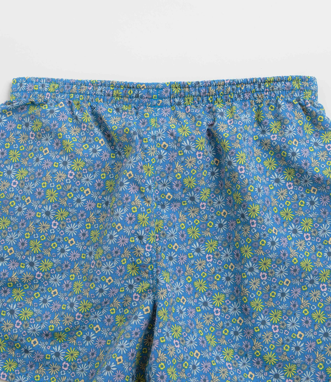 Patagonia Womens Baggies 5" Shorts - Floral Fun: Vessel Blue | Flatspot