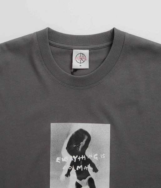 Polar Everything Is Normal T-Shirt - Graphite | Flatspot