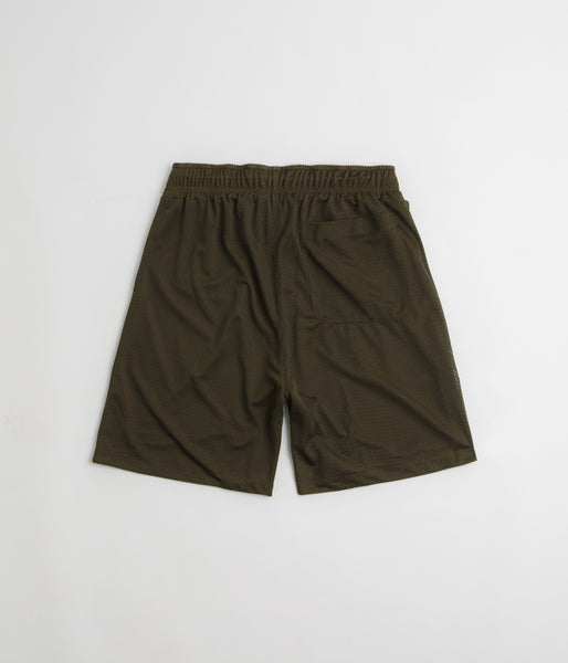 Polar Ray Shorts - Brown | Flatspot