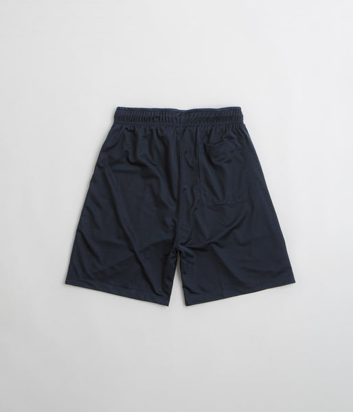 Polar Ray Shorts - Navy | Flatspot