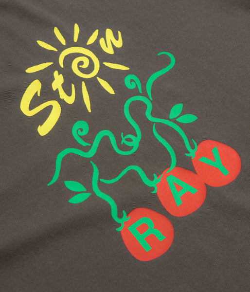 Stan Ray Ray Vine T-Shirt - Washed Black | Flatspot