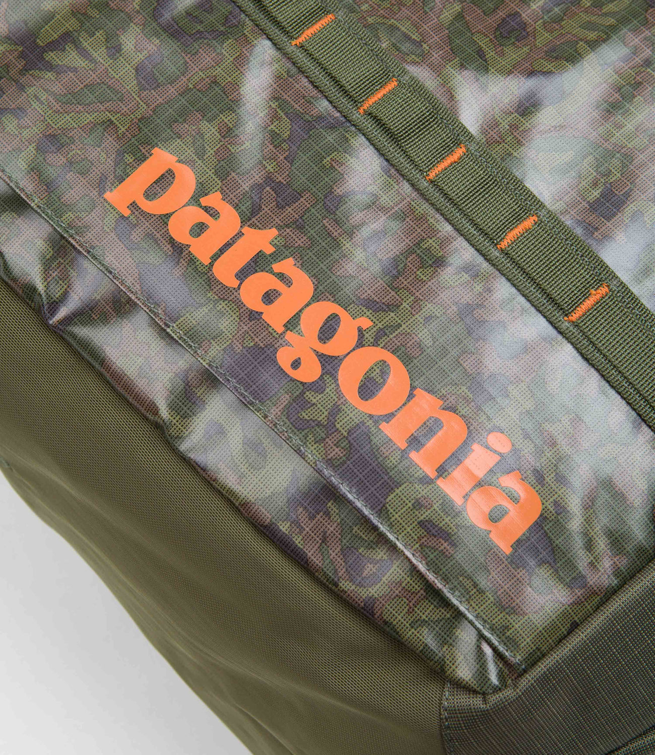 Patagonia Black Hole Backpack 25L - Lichen: Basin Green | Flatspot