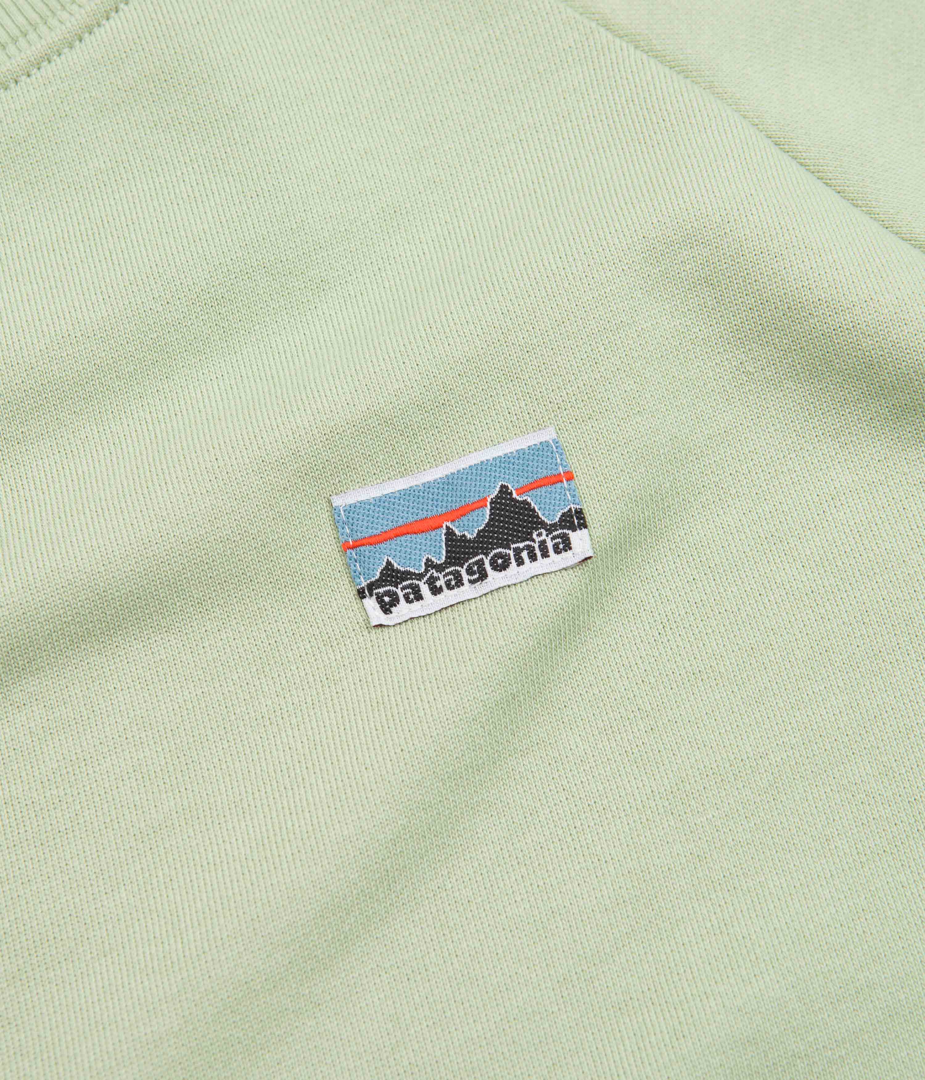 Patagonia Womens Regenerative Organic Certified Cotton Essential Crewn ...